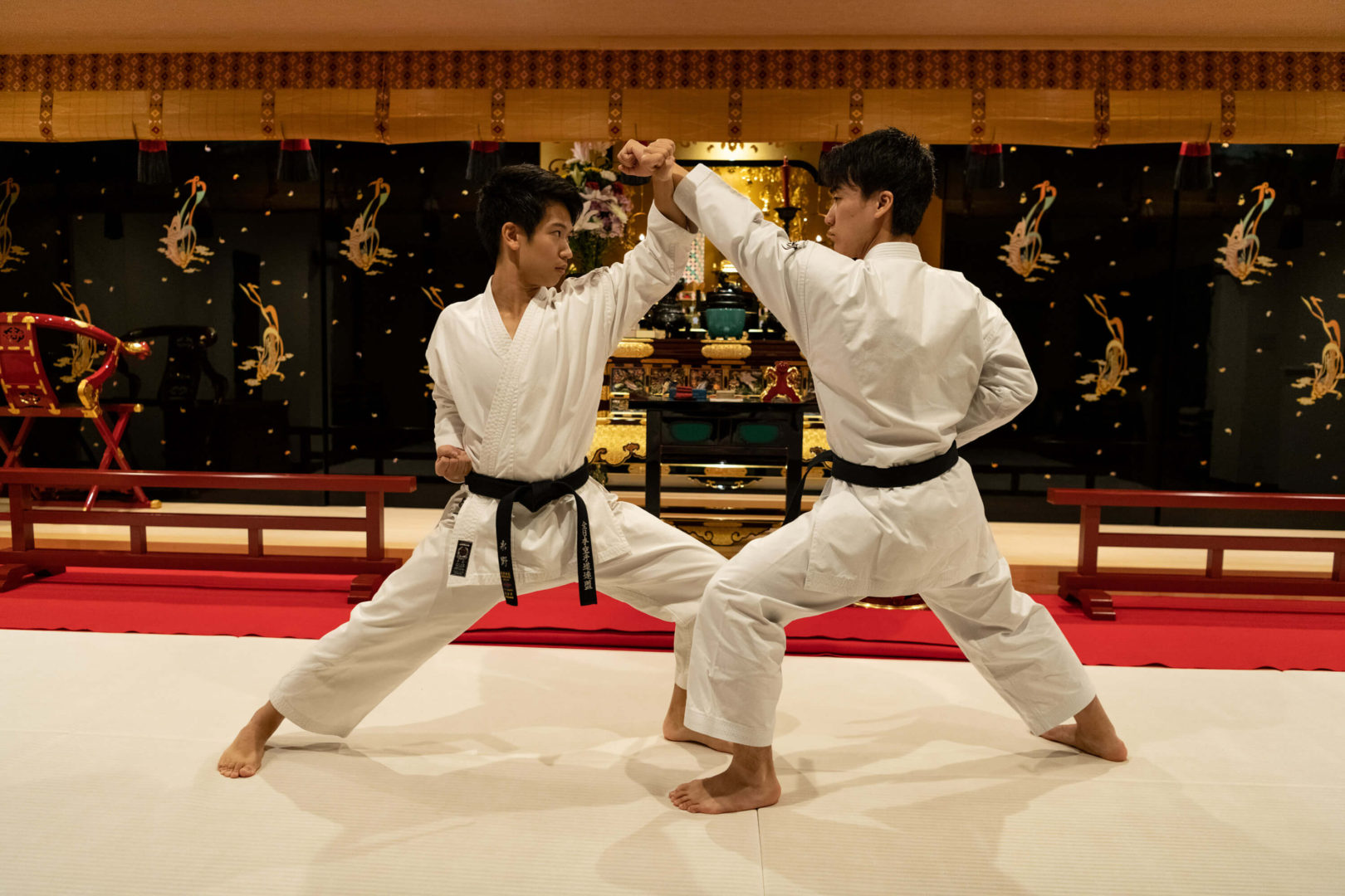 Beginner Lesson – Karate Dojo waKu